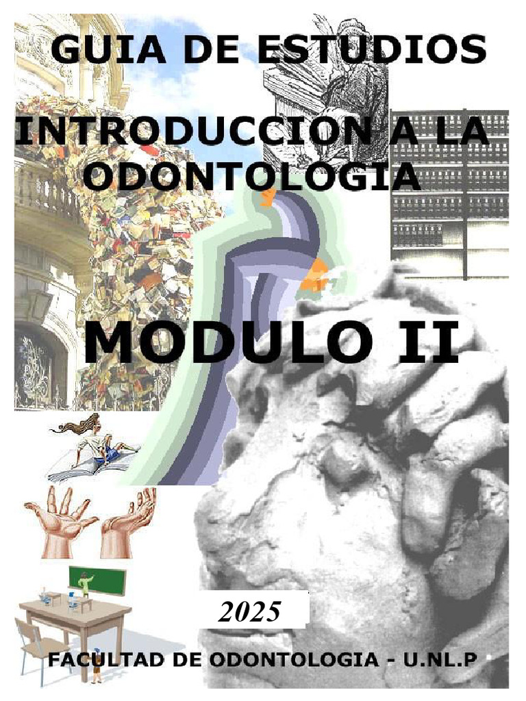 Guia Modulo II - 2025 | PDF | Universidad | Educación más alta