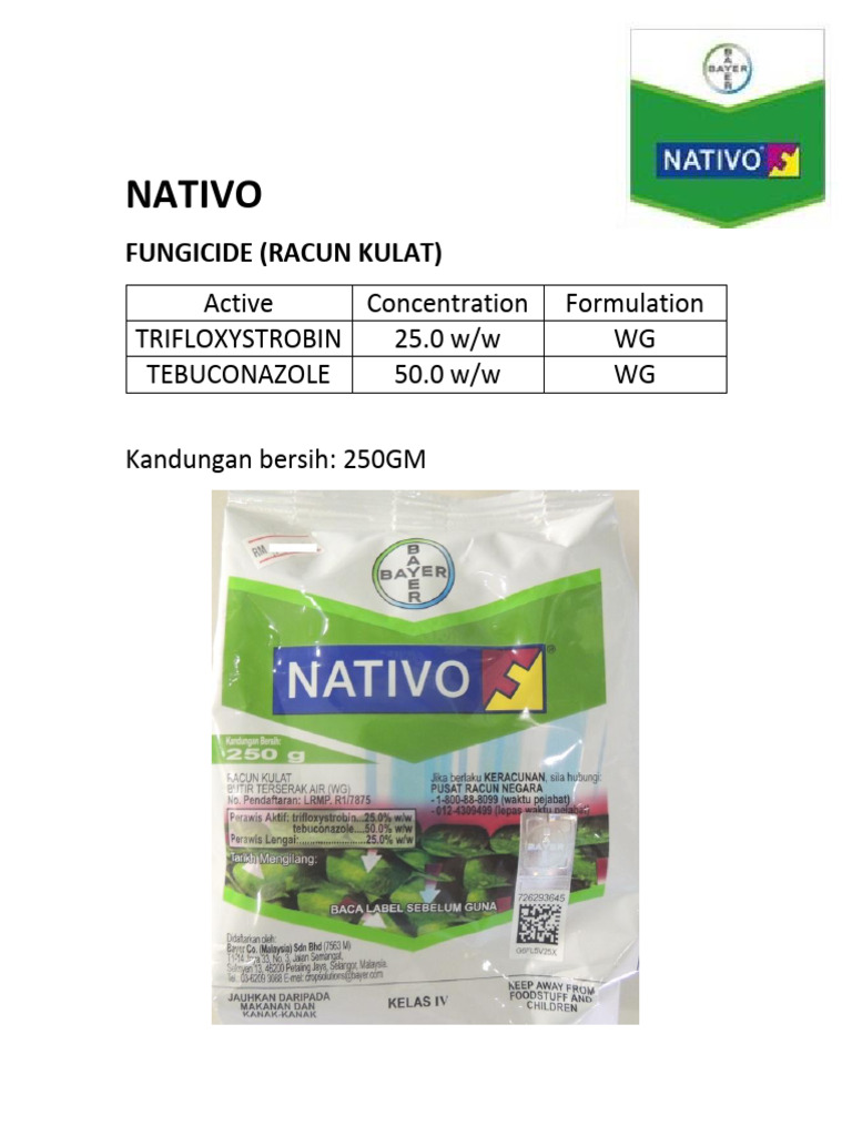 Bayer Nativo | PDF