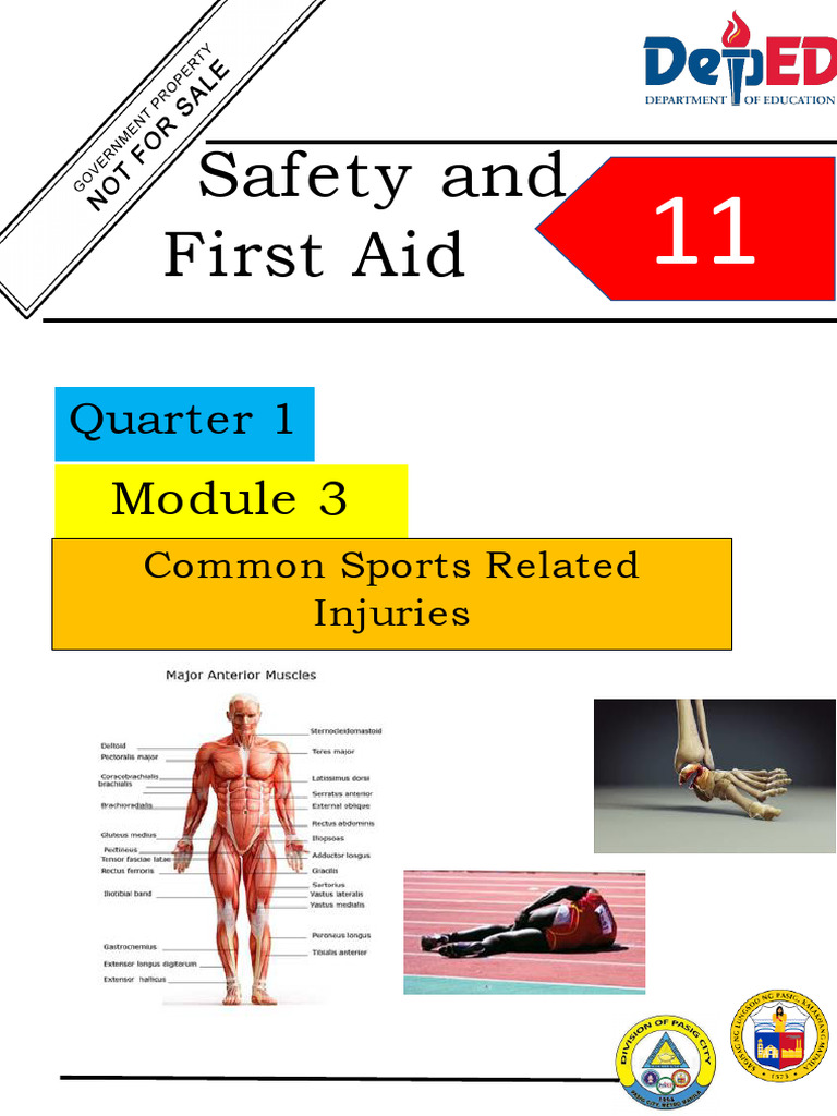 Safety First Aid - Sports 11 - Q1 - M3 | PDF | Musculoskeletal System ...