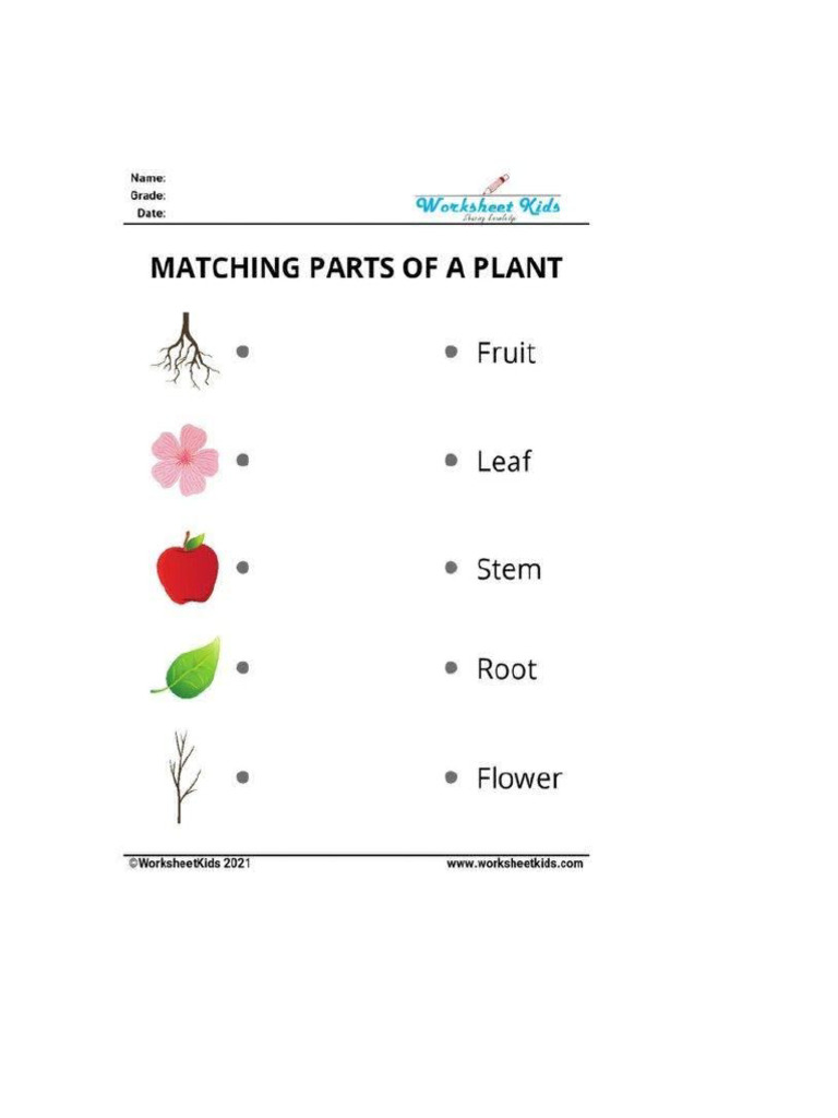 Kinder Cle and Science 2ND Summative | PDF