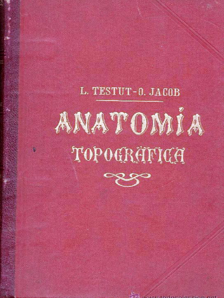 Anatomia Topografica Testut Jacob | PDF