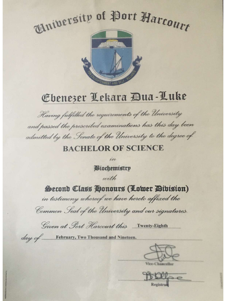 Bsc. Certificate | PDF