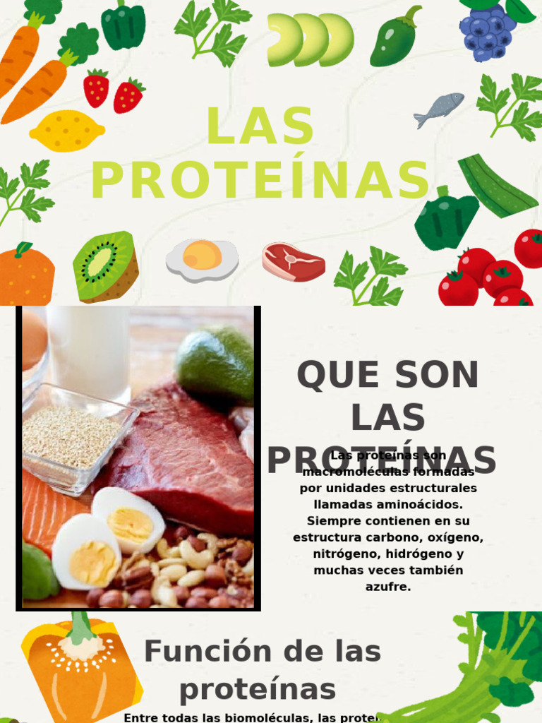 Las proteínas mesa 1 grado 1102 _20241003_173201_0000 | PDF | Proteínas | Organismos
