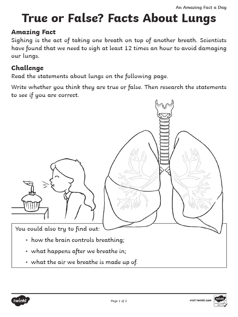 t-t-2547103-true-or-false-facts-about-the-lungs-activity-sheet_ver_1 | PDF