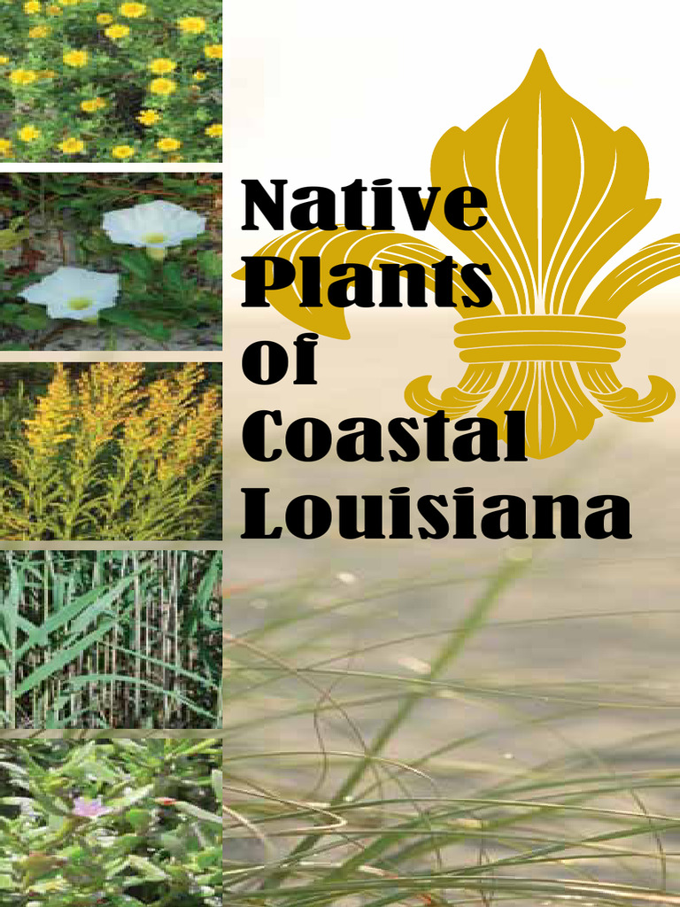Native Plant Guide | PDF | Natural Resources Conservation Service | Dune