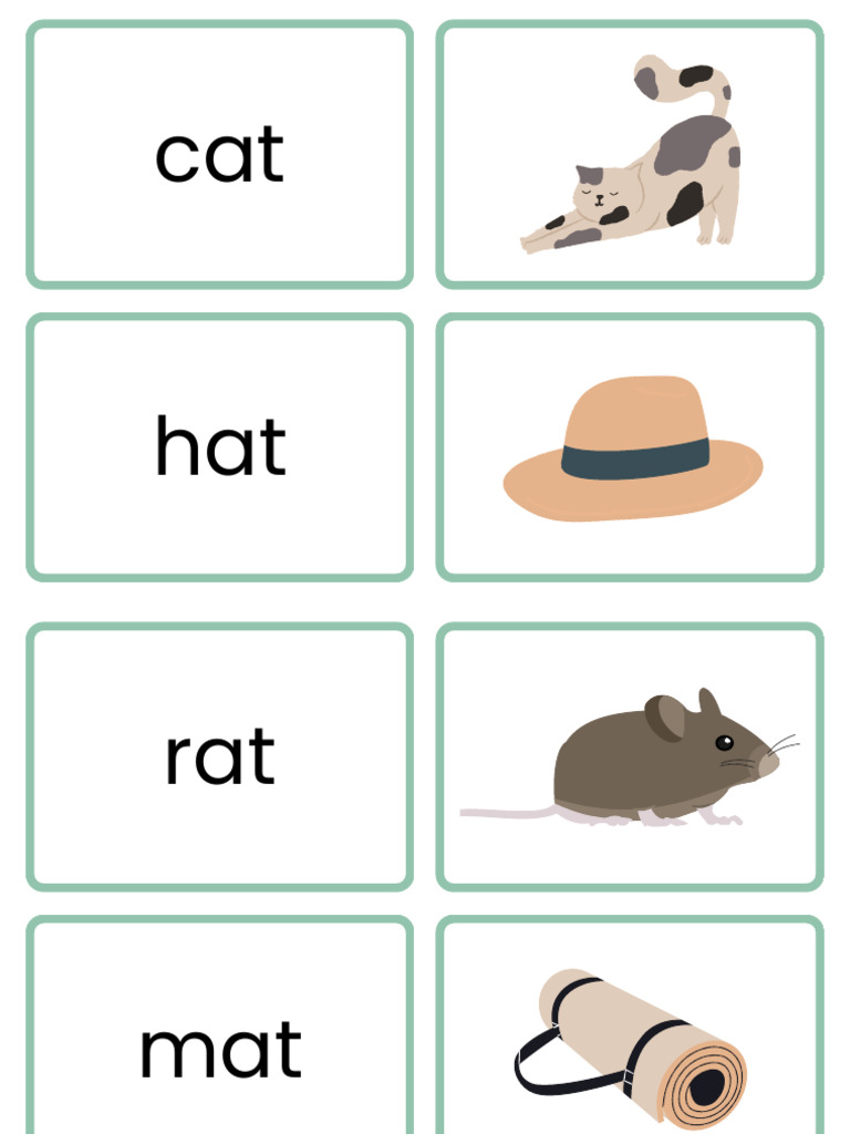 CVC Words A English Flashcards in Green Illustrated Style | PDF