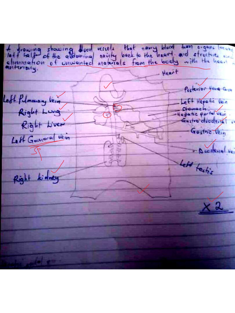 Kyazze and Kawuki | PDF