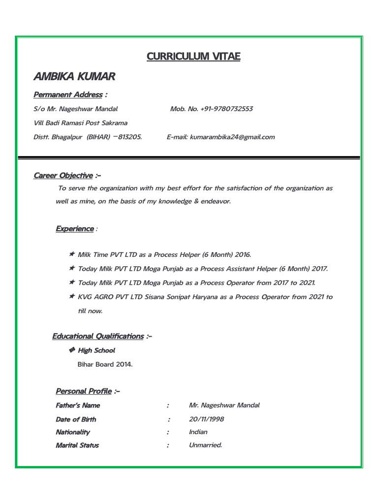 Ambika Kumar's Professional CV | PDF