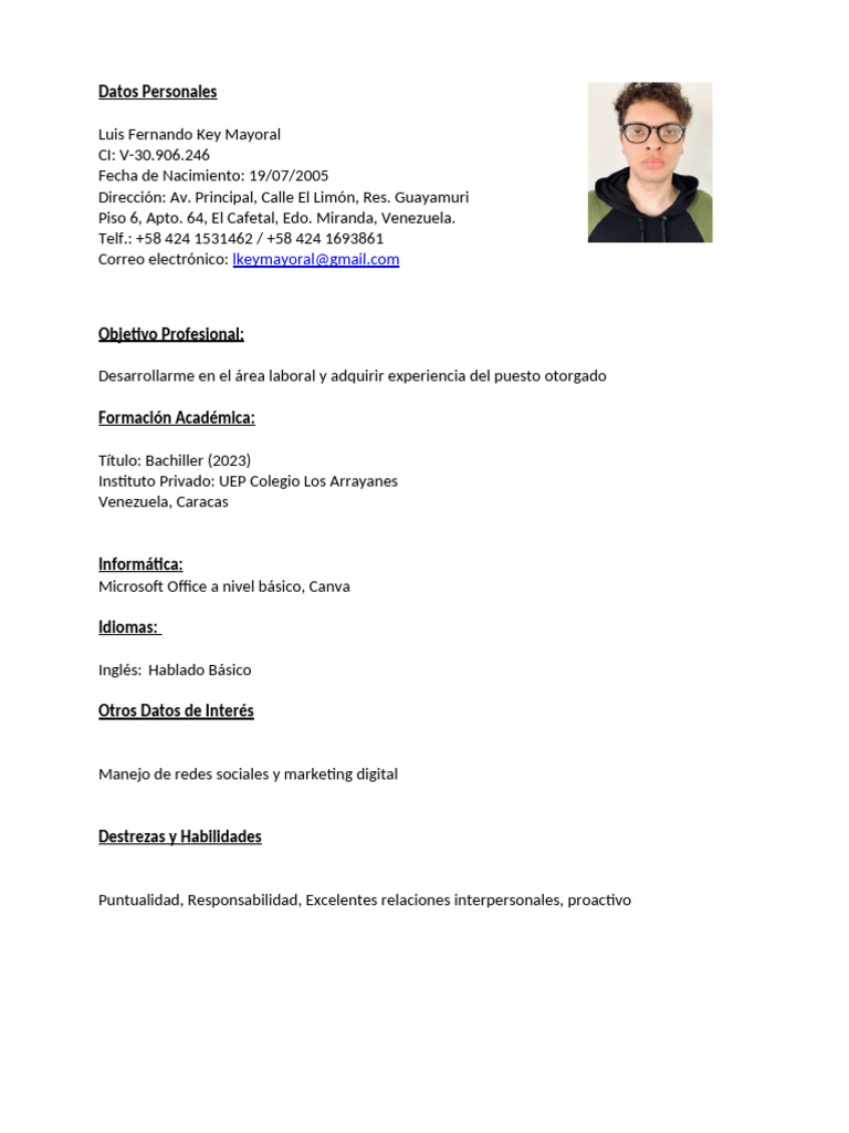 Luis Curriculum | PDF