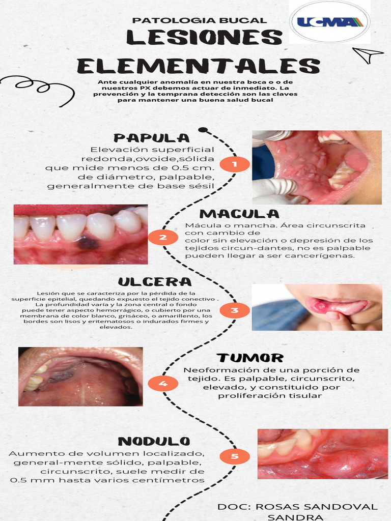 Infografia Patología Bucal | PDF