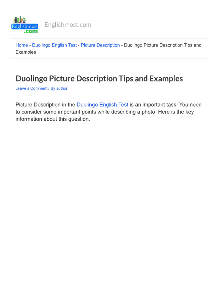 Duolingo Picture Description Guide | PDF