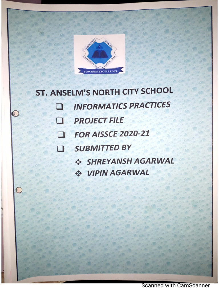 Project File (Shreyansh - 12th C) | PDF