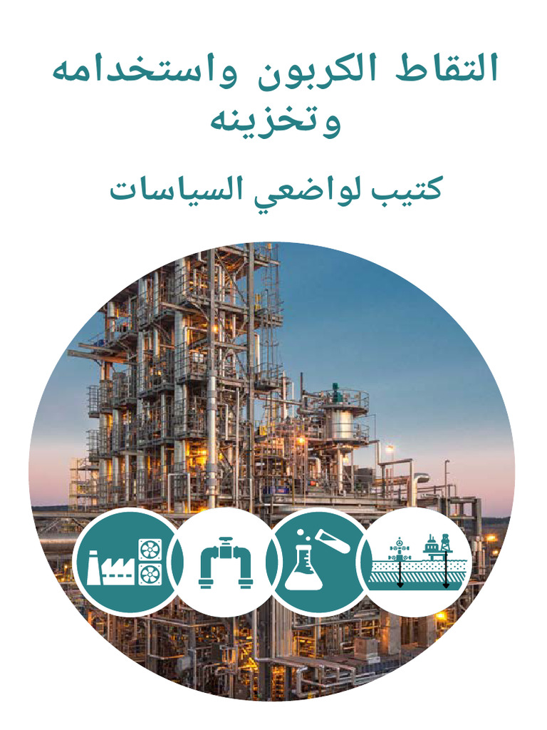 CLDP Ccus Handbook - Ar Web | PDF