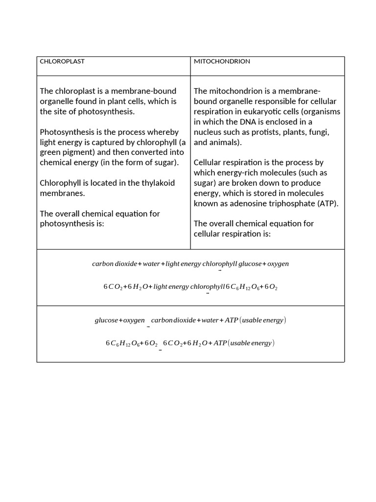 Photosynthesis vs. Cellular Respiration | PDF