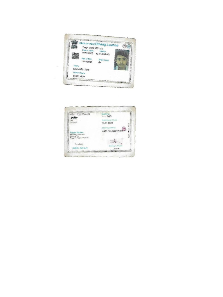 My Driver License-1 | PDF