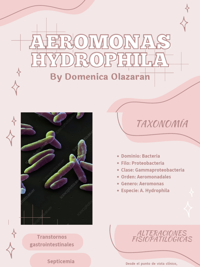 Aeromonas hydrophila: Infecciones y Prevención | PDF | Especies | Las ...