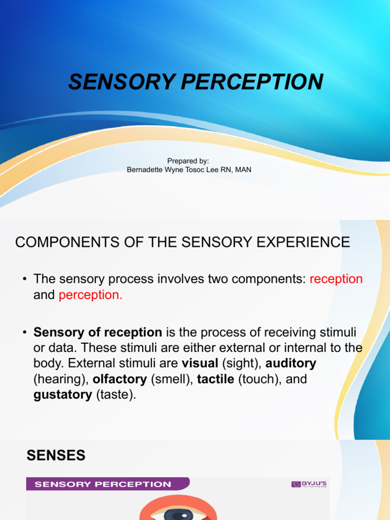 5d Sensory Perception | PDF | Senses | Perception