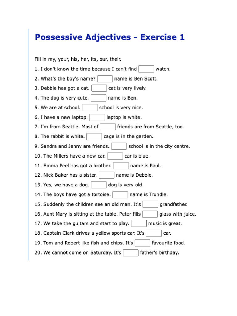 Possessive Case Exercises for Practice | PDF