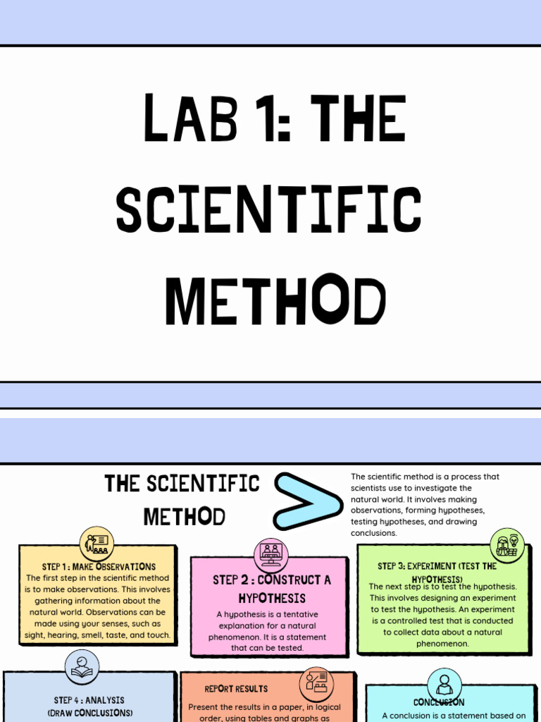 Scientific Method Penny Experiment | PDF | Hypothesis | Experiment