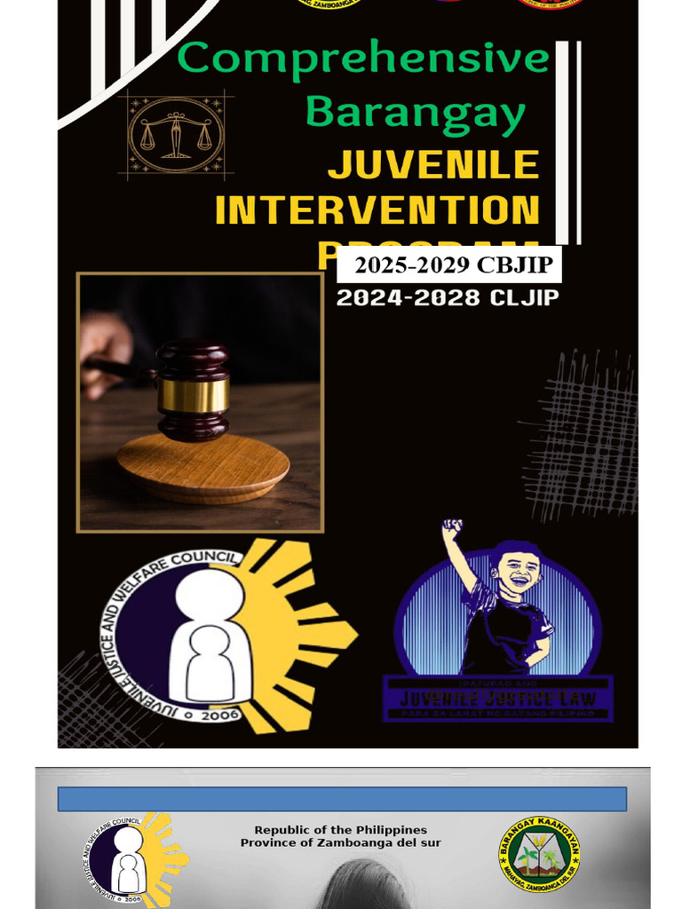 Final Plan Cbjip 2025-2029 | PDF | Juvenile Delinquency | Child Protection