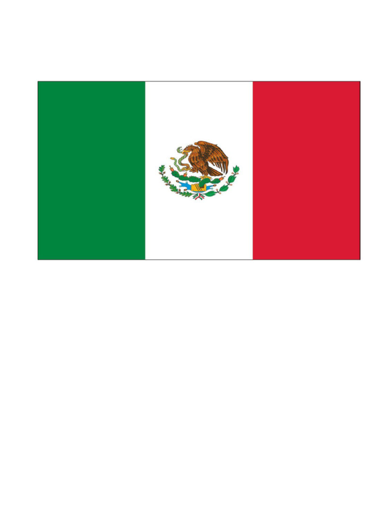 Print Out For Flgs | PDF