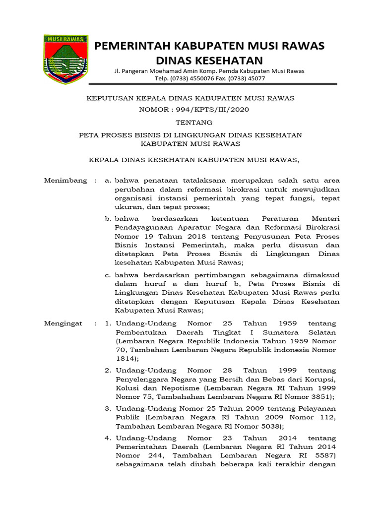 SK Proses Bisnis (Probis) Dinkes | PDF