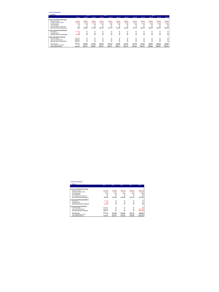 Cash Flow Projections Overview | PDF | Investing | Financial Economics