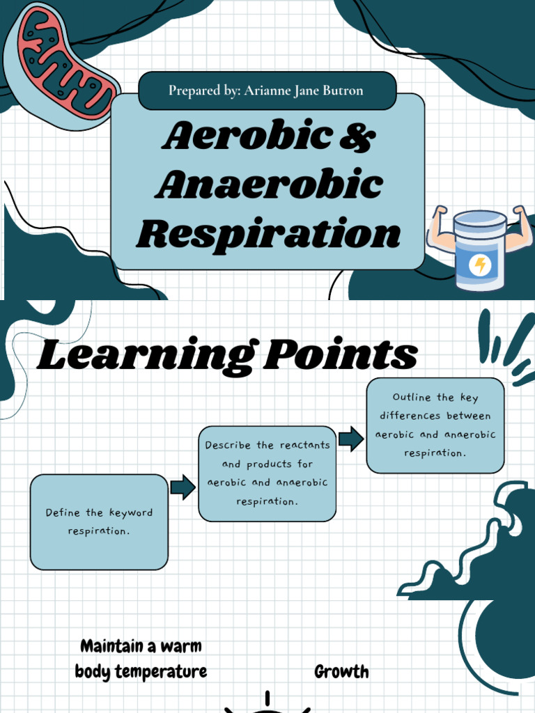 Aerobic Anaerobic Respiration | PDF | Cellular Respiration | Chemistry