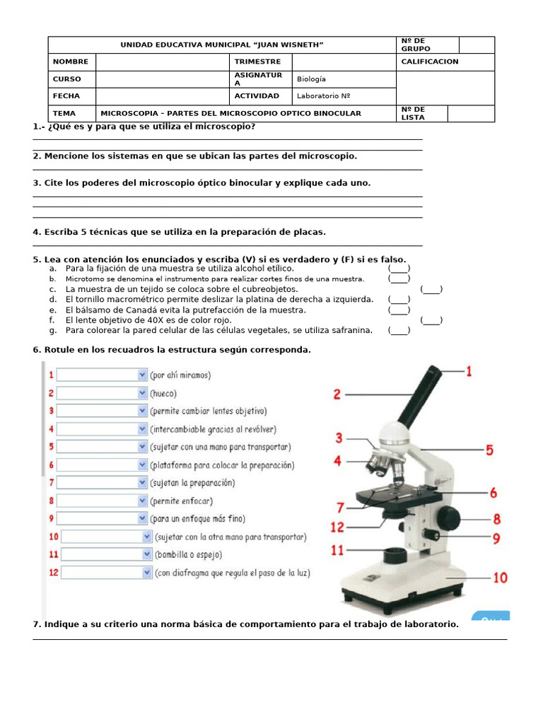 Practica - Microscopio | PDF | Microscopio | Microscopía
