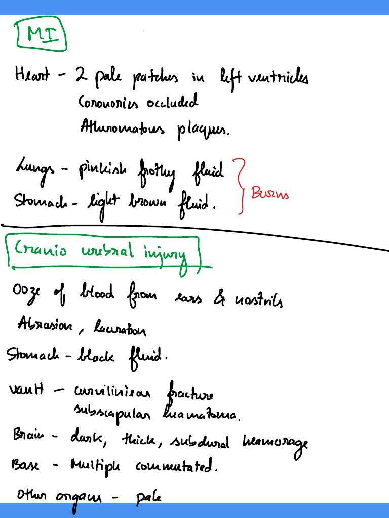 Postmortem Report | PDF