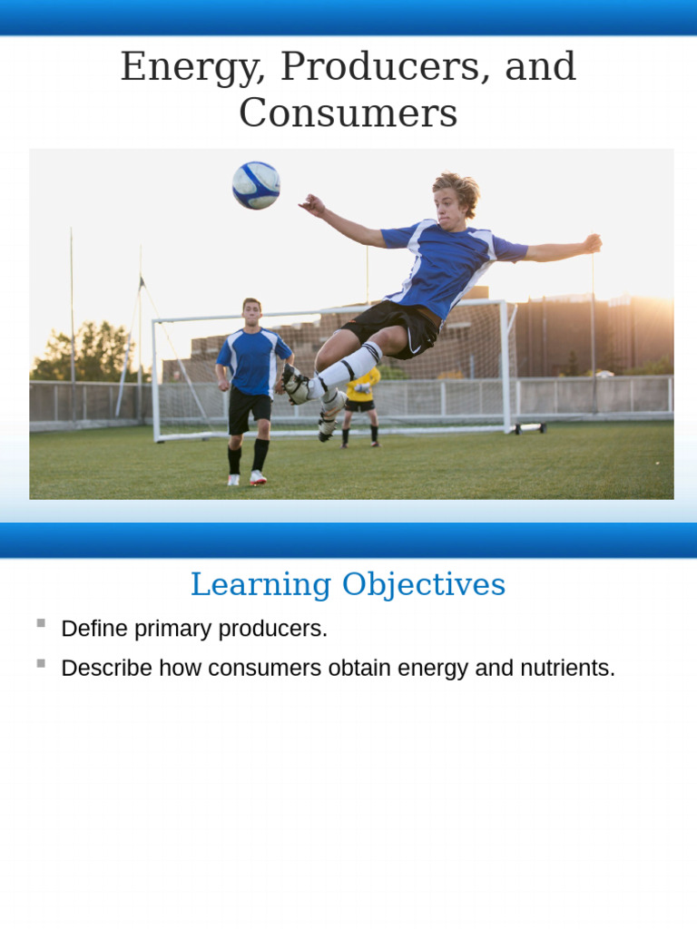 G.11 Biology T. W.2 S.1 L.4.2 Energy Producers and Consumers | PDF