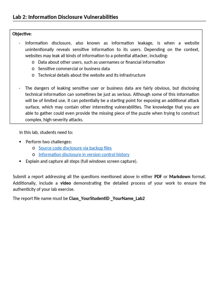 Lab on Information Disclosure Risks | PDF