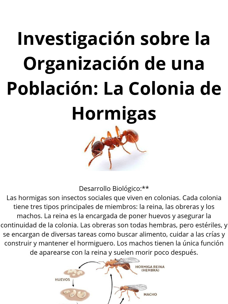 Investigación Sobre La Organización de Una Población La Colonia de ...