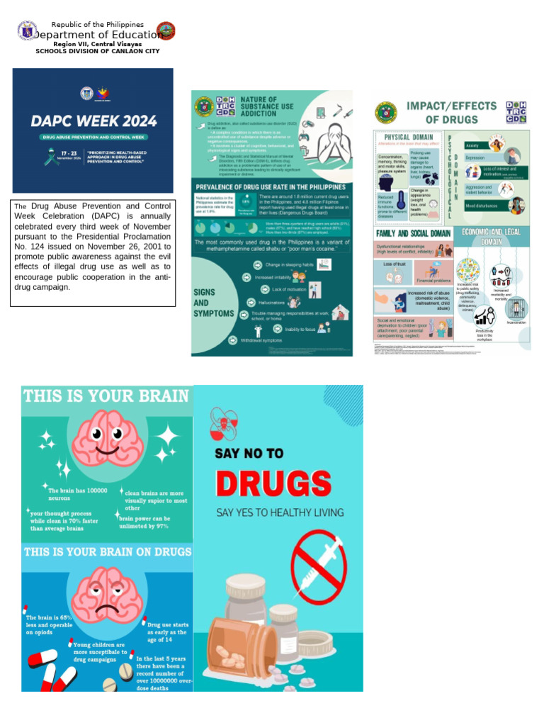 DAPC Leaflet | PDF