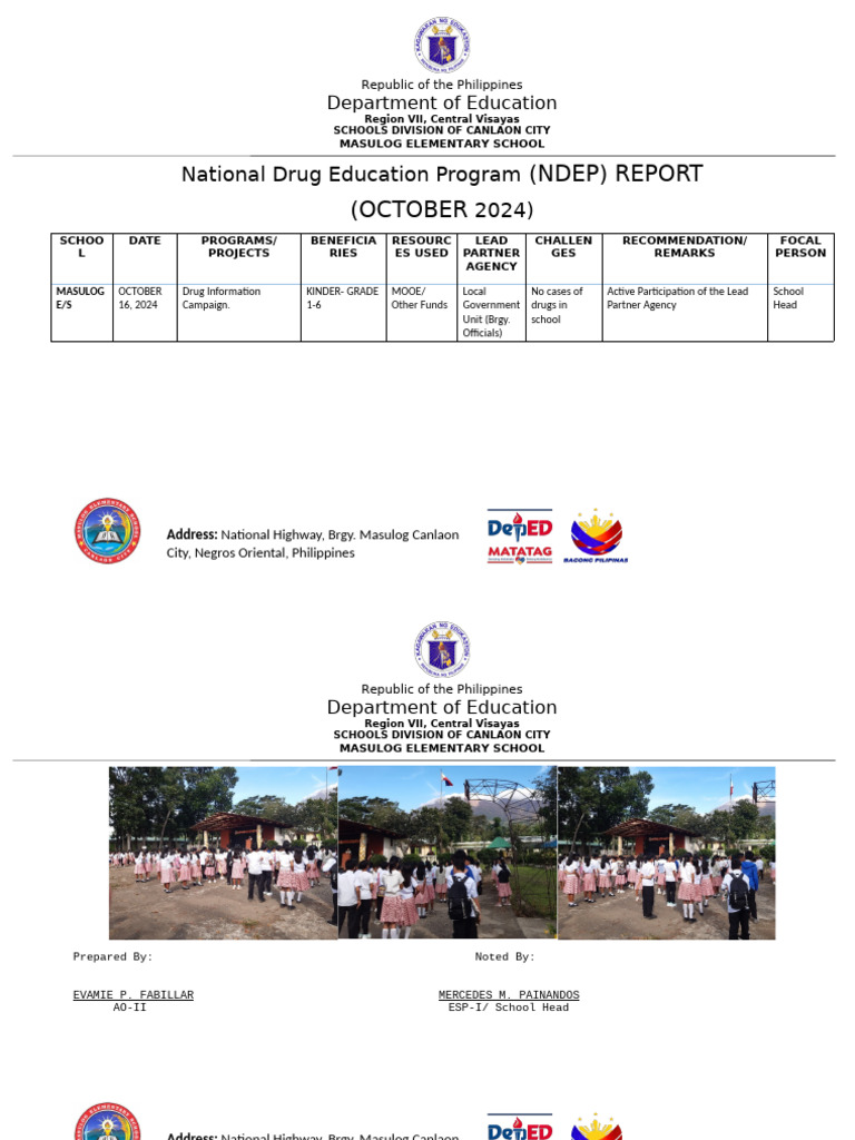 MASULOG ES NDEP Report (October 2024) | PDF