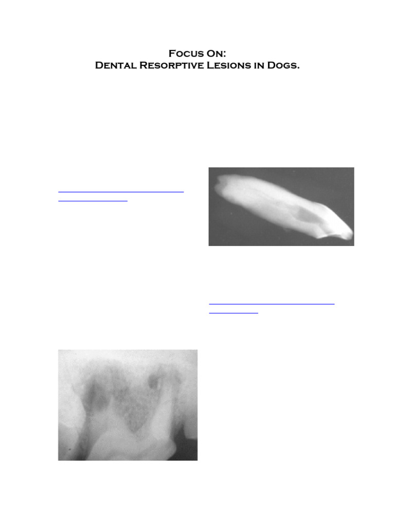 RLs in Dogs | PDF | Human Tooth | Periodontology