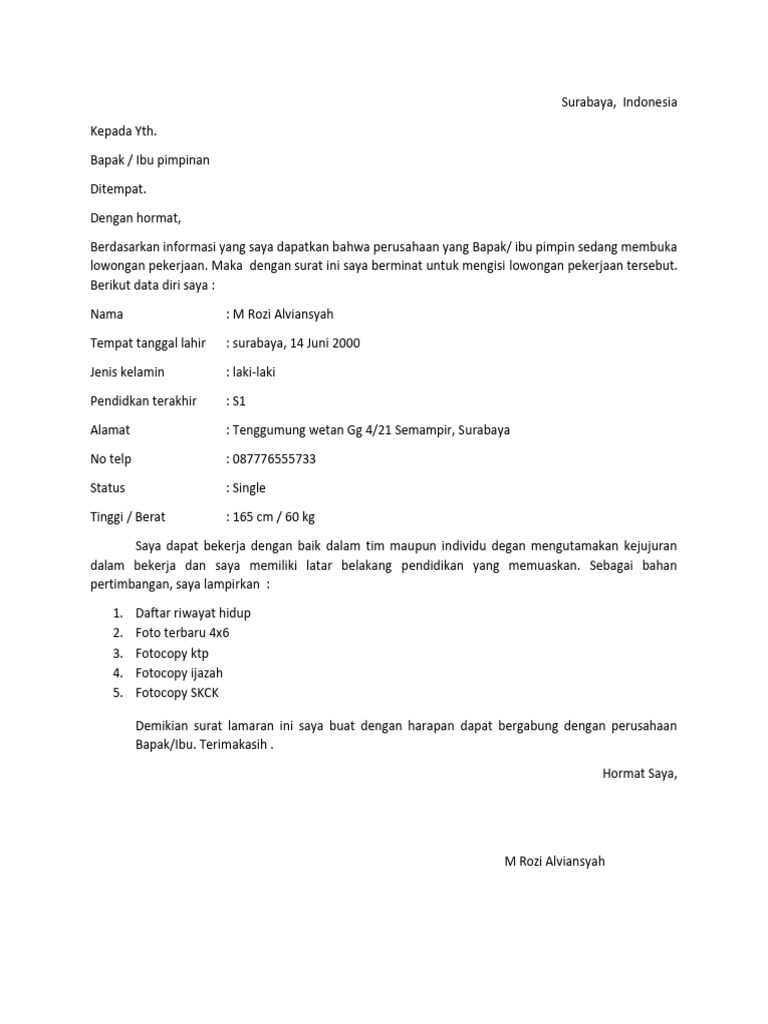 CV Alvin - Merged | PDF