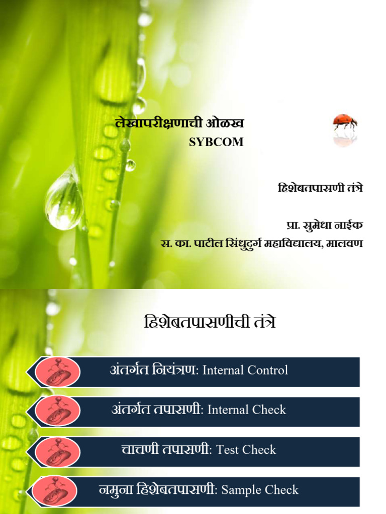 Sumedha Naik Audit Techniques | PDF