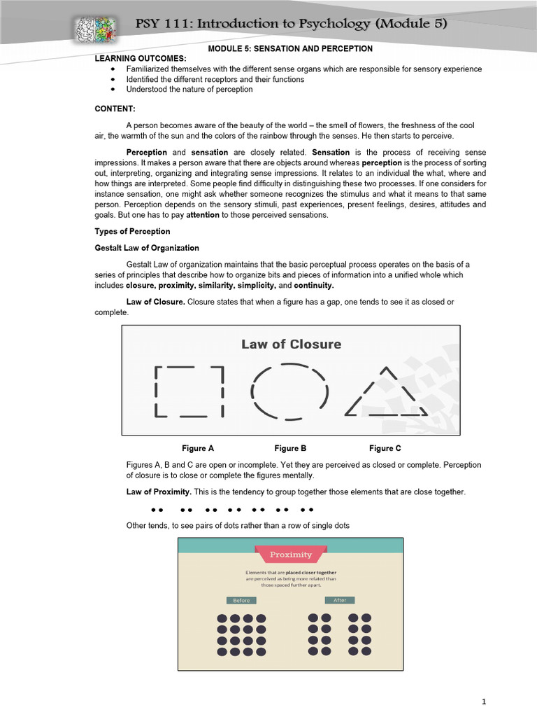 Psy 111 Module 5 Sensation and Perception | PDF | Perception | Senses