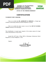 Barangay Solo Parent Certification Sample | PDF | Lifestyle