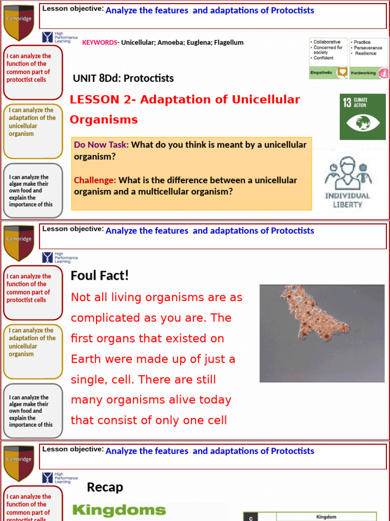 Lesson 2 ADAPTATION of Unicellular Organism | PDF | Vacuole | Cell ...