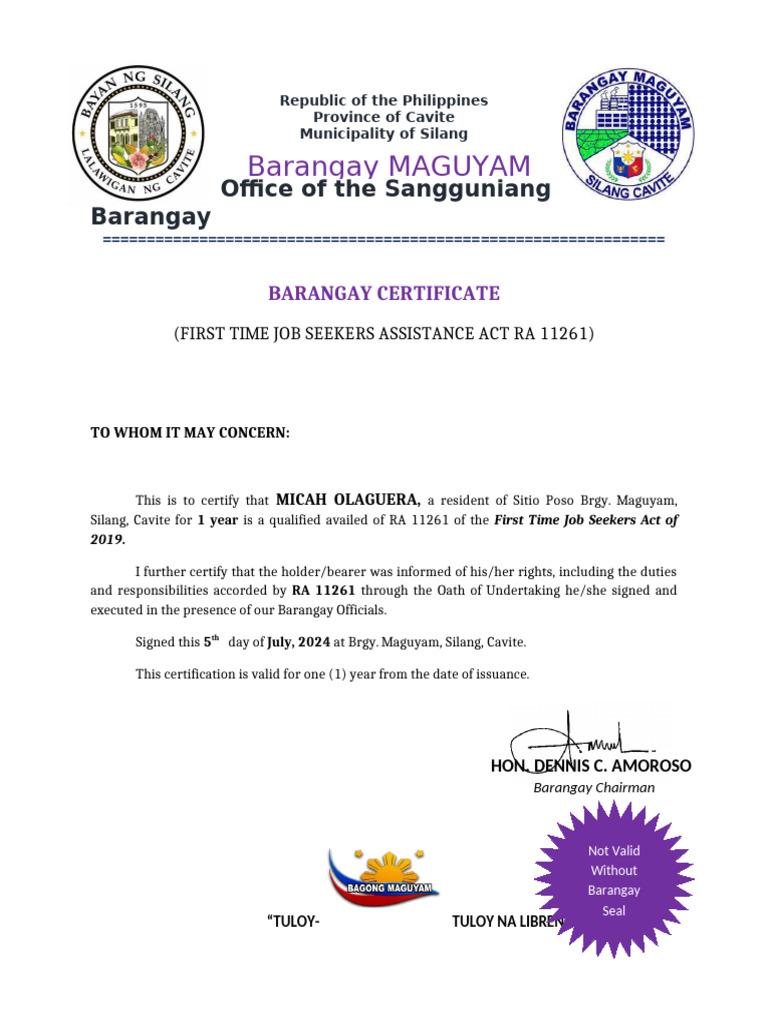 First Time Job Seekers | PDF