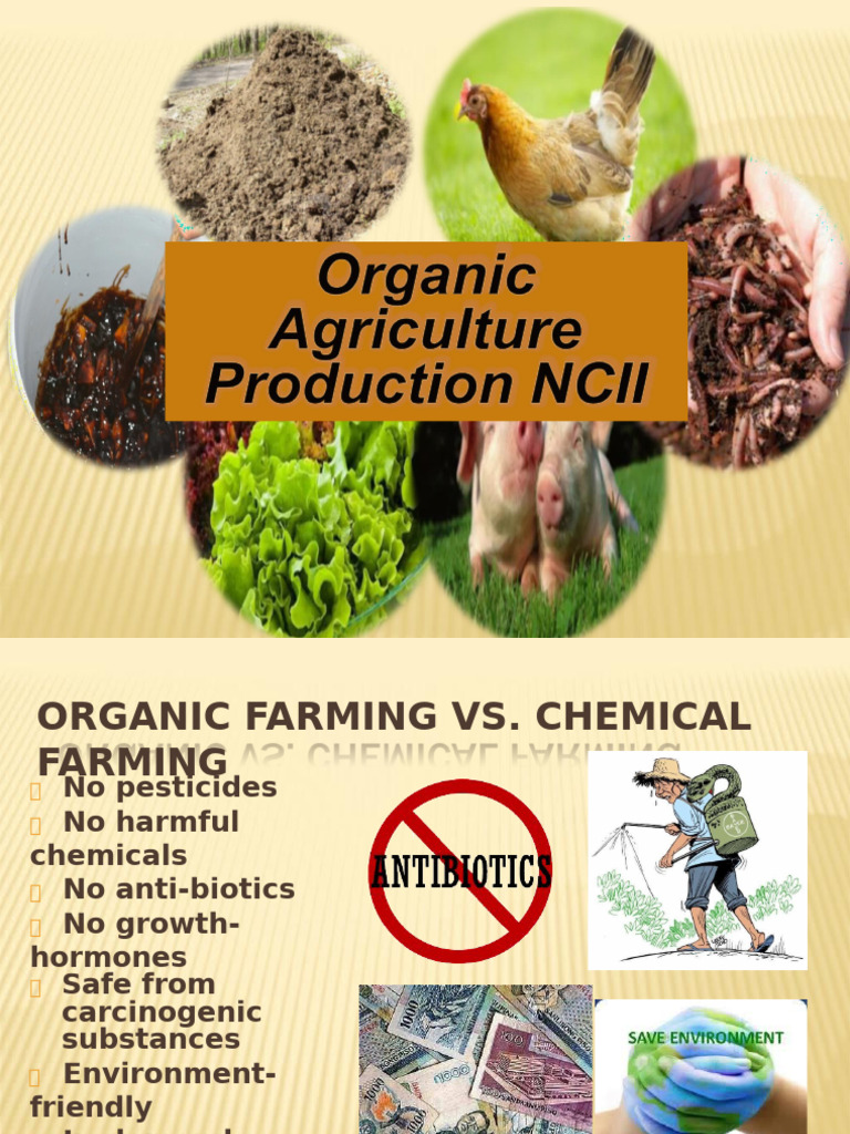 OAP NC II Produce Organic Concoctions & Extracts - Copy (Autosaved) | PDF | Fermentation | Juice