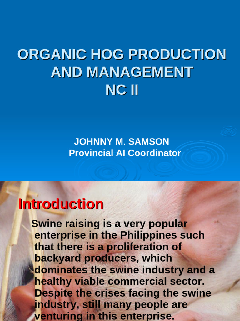 Organic Hog Production and Management NC II | PDF | Pig | Selective ...