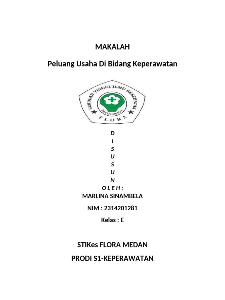 Peluang Usaha Di Bidang Keperawatan MARLINA | PDF