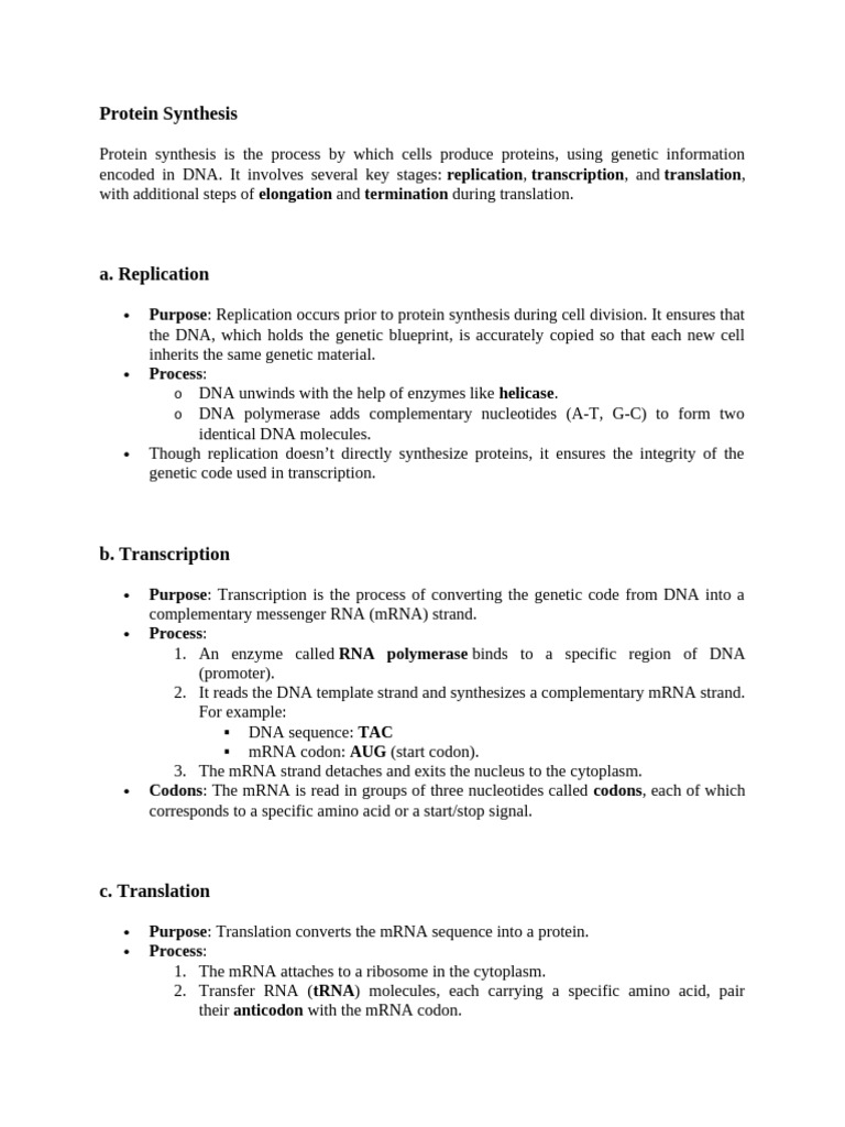 Protein Synthesis - Discussion | PDF | Translation (Biology) | Messenger Rna