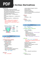 Pons Anatomy - Medicosis Perfectionalis Notes | PDF | Brainstem ...