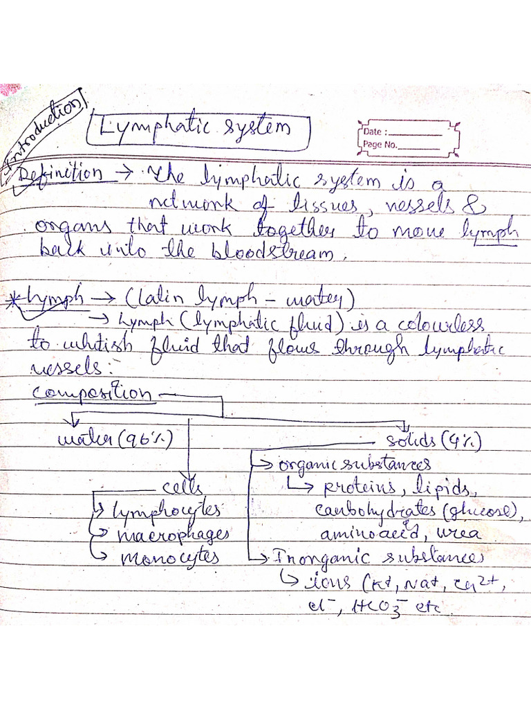 Lymphatic System (HAP) | PDF