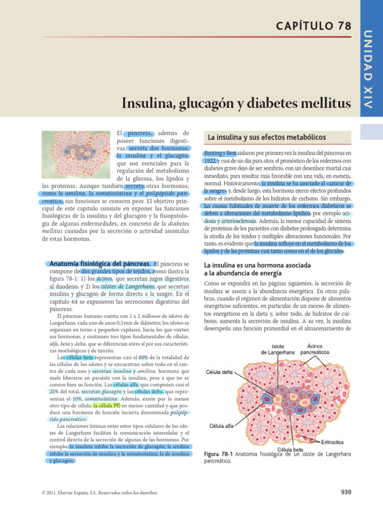 Fisiologia Medica Guyton y Hall 2 | PDF | Insulina | Glucógeno