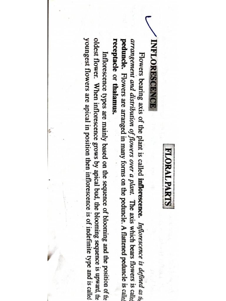 Technical Terms | PDF